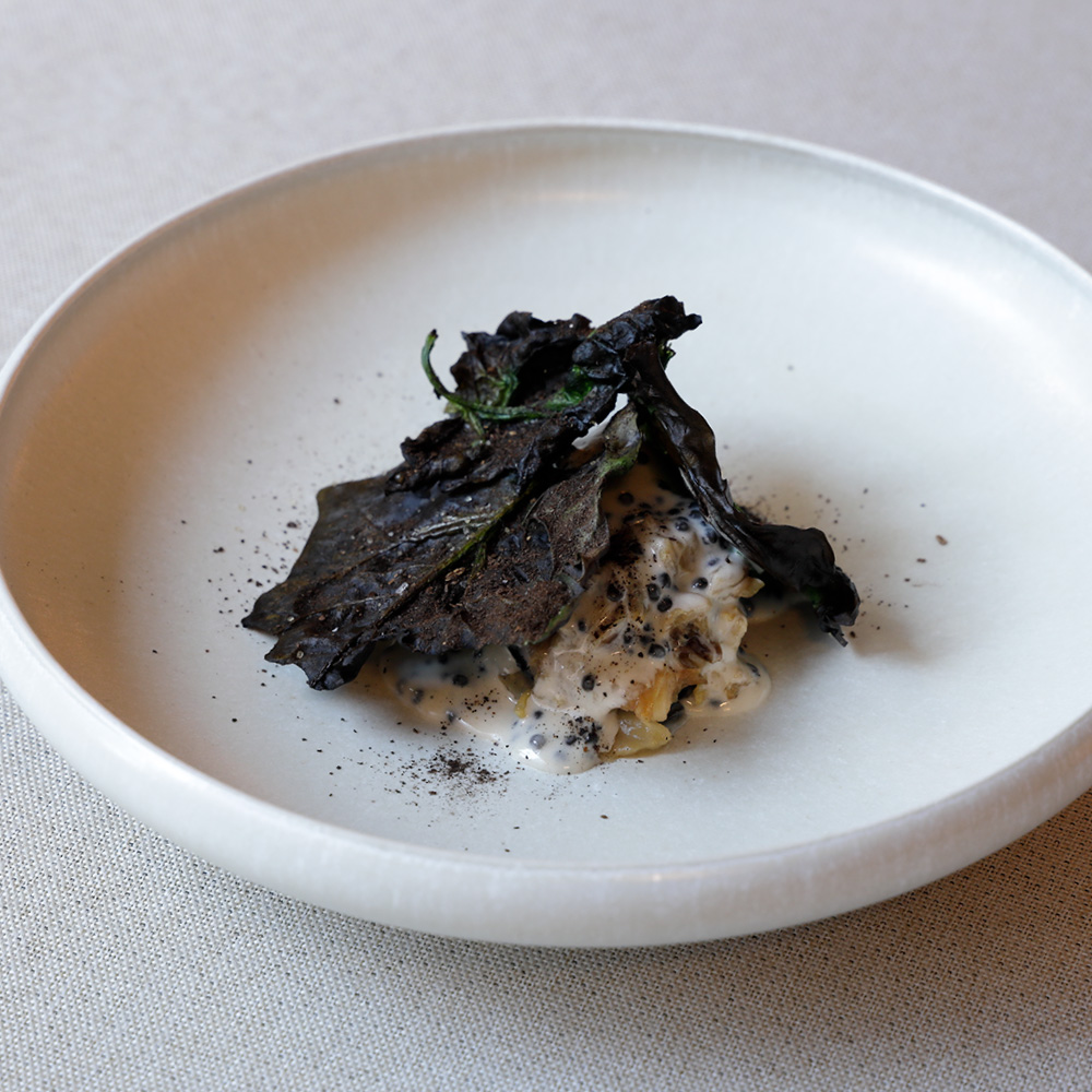 KOKE（コケ京都）